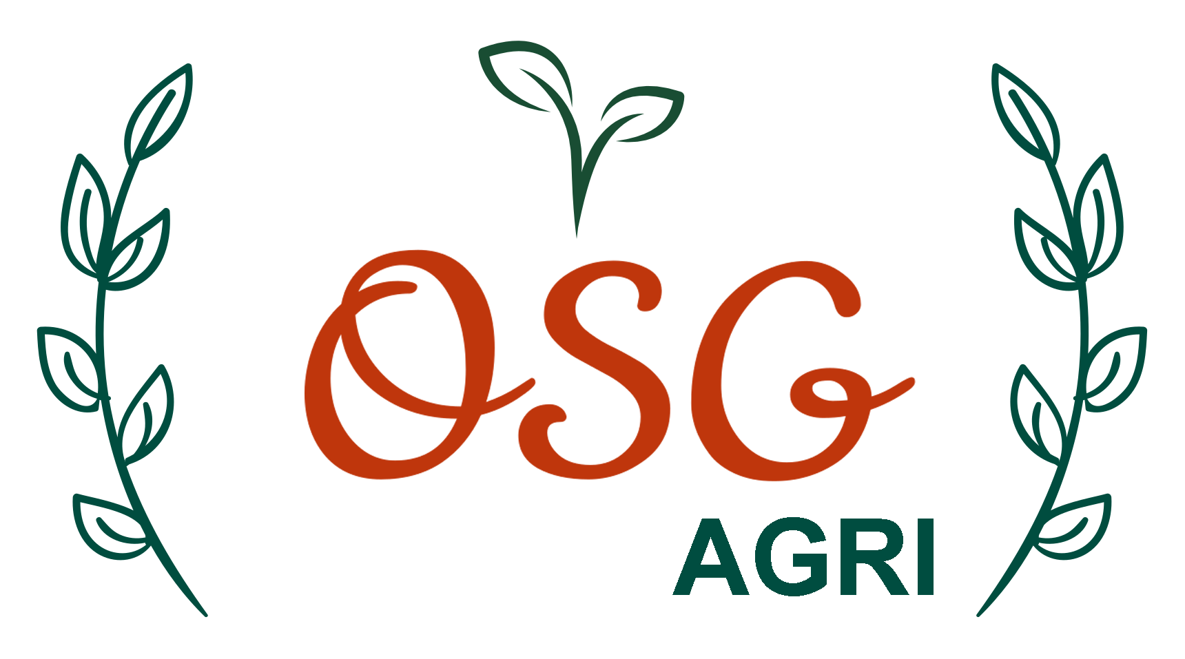 GUAR GUM POWDER (Food and FHGG Grade) – OSG Exim